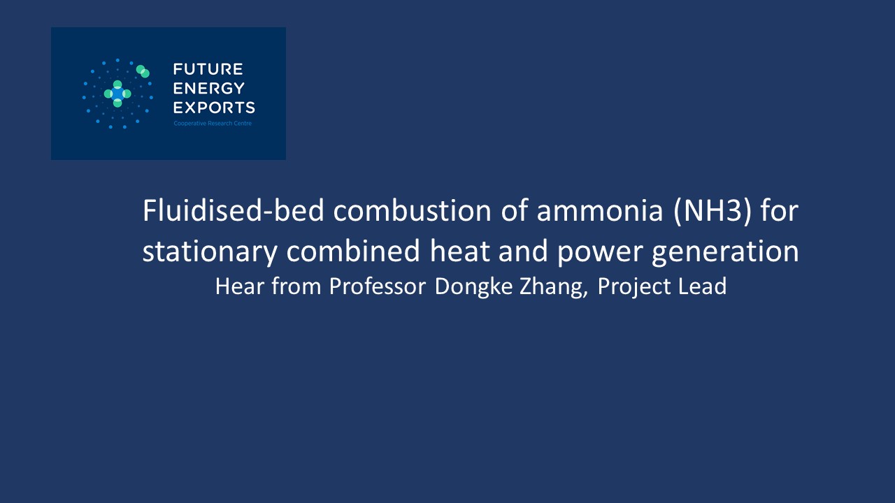 Fluidised-bed combustion of ammonia (NH3) for stationary combined heat ...